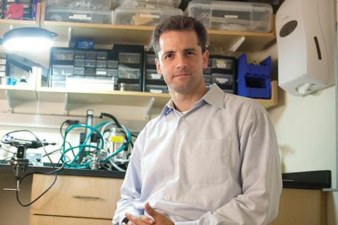 James DiCarlo To Speak on Neuroscience and Cognitive Computing at ...